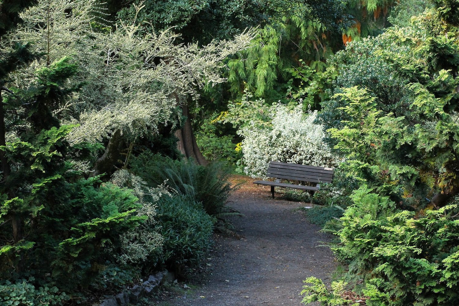 11 Best Snow-Free Winter Hikes near Portland — Pines and Vines — Pines ...