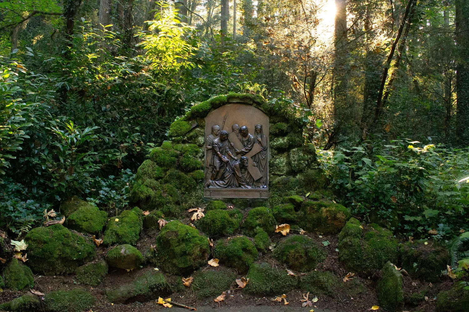 Visiting the Grotto in Portland — Pines and Vines