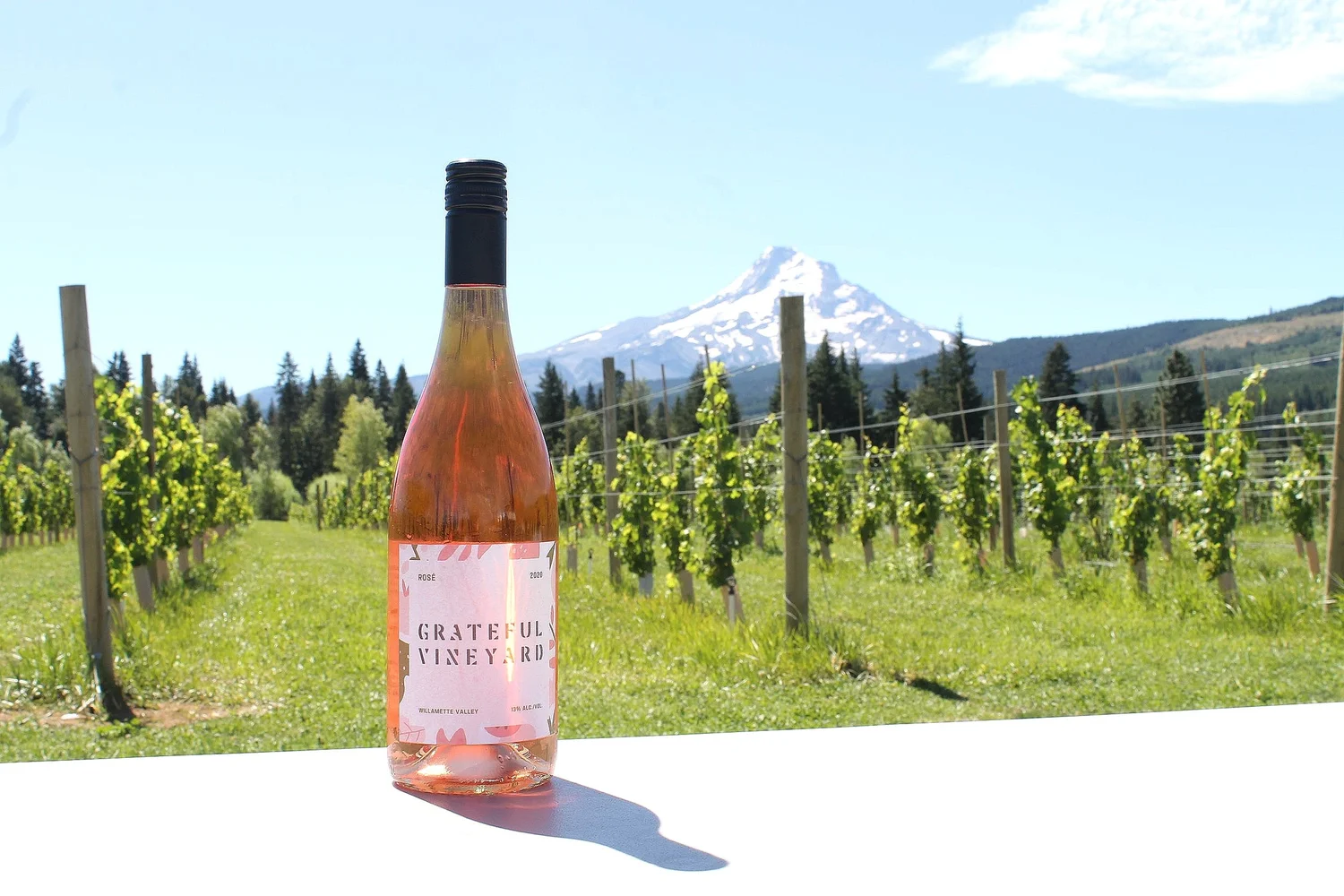 Best 11 Things to Do in the Hood River Fruit Loop — Pines and Vines ...