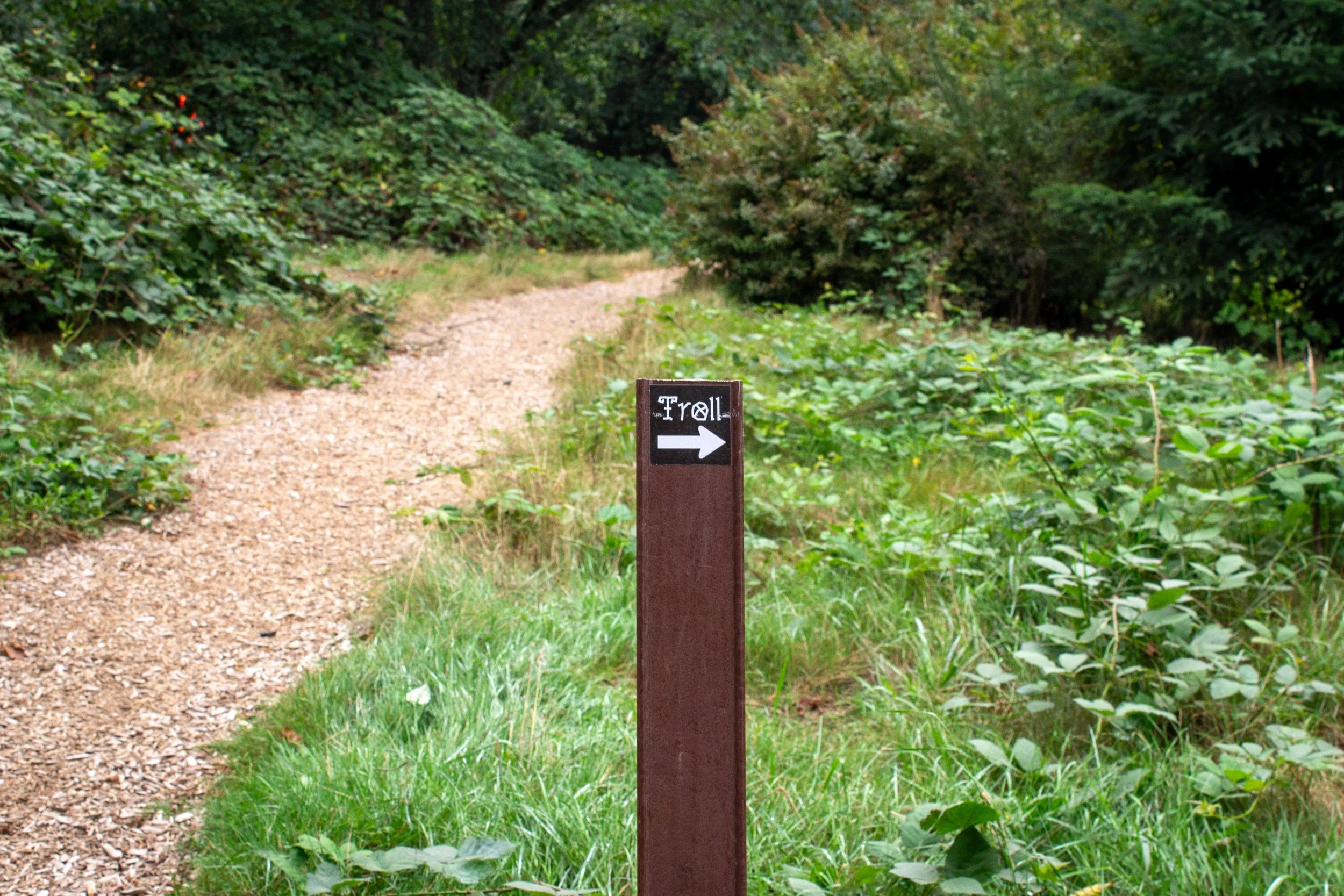 Quick Guide to Pacific Northwest Trolls — Pines and Vines