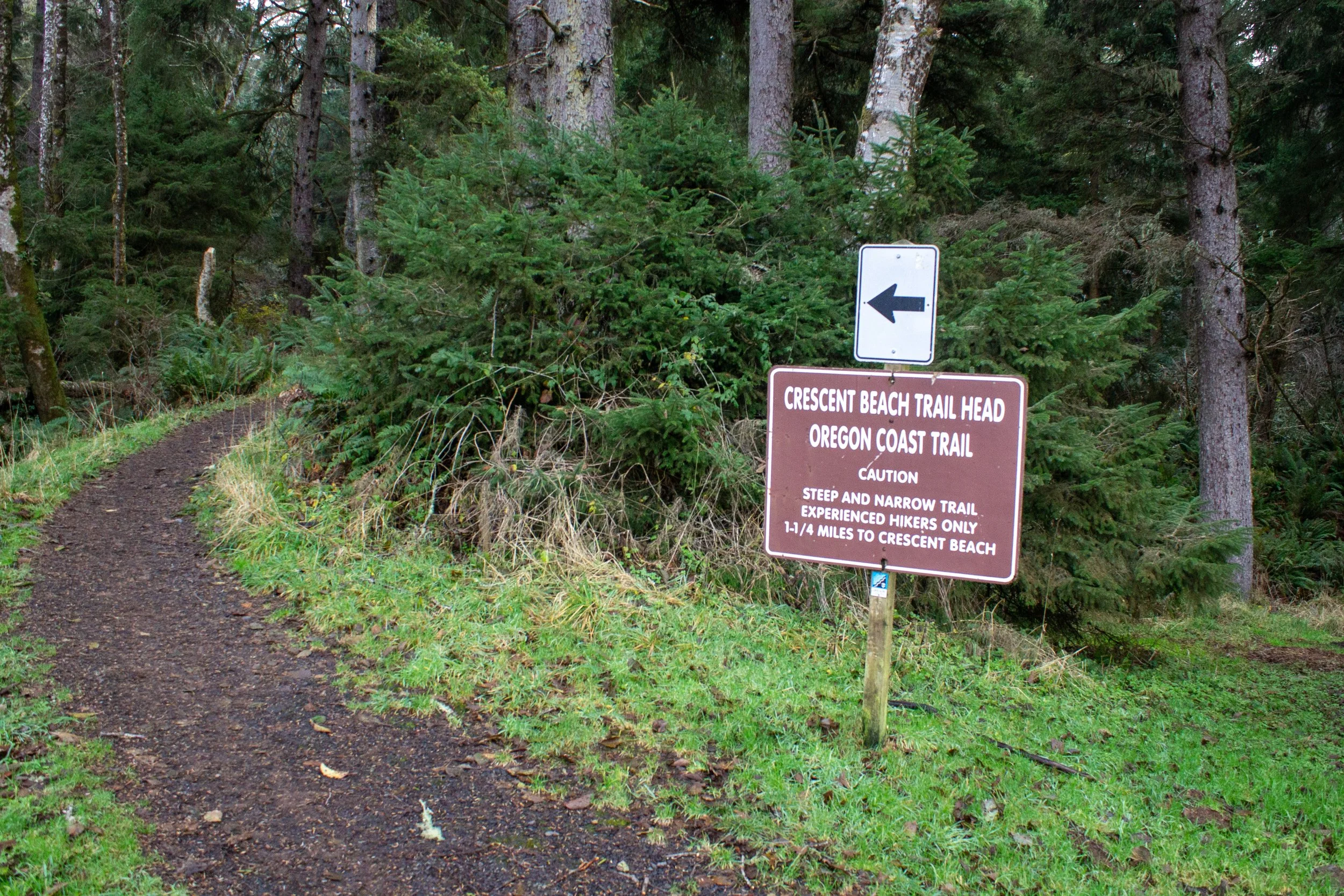 How to Find Crescent Beach on the Oregon Coast — Pines and Vines