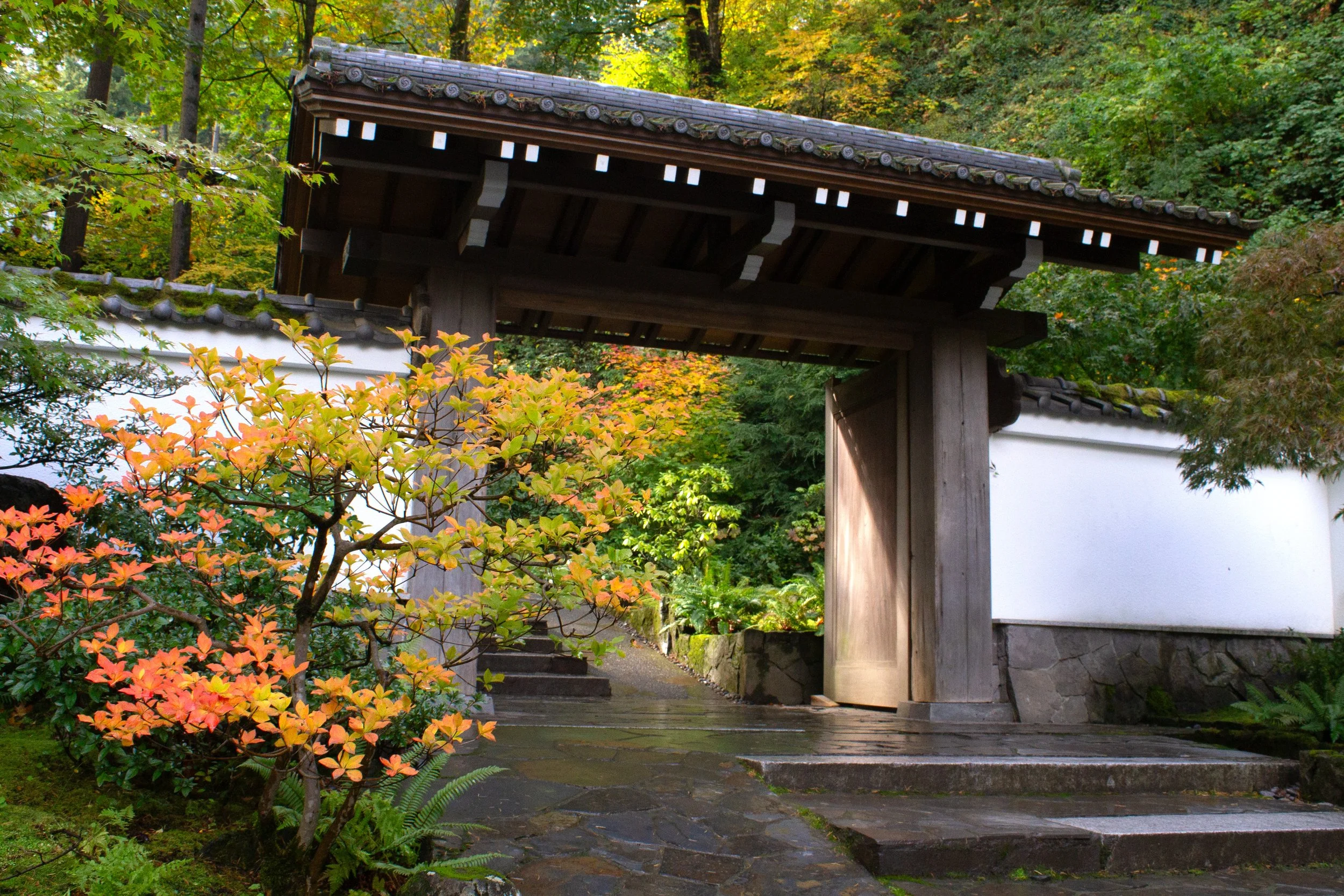 Quick Guide to the Portland Japanese Garden — Pines and Vines