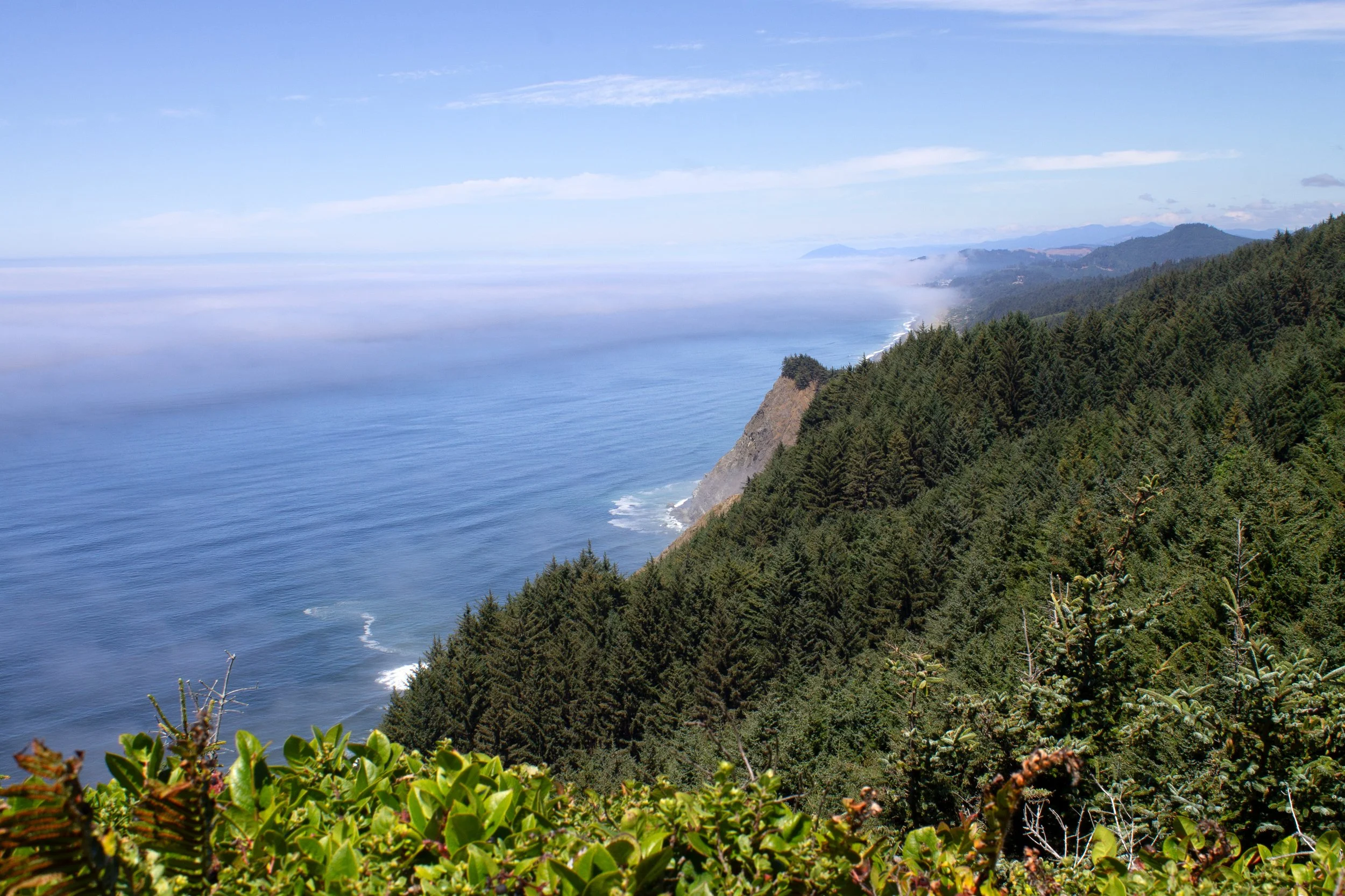 12 Best Stops in the Samuel Boardman Scenic Corridor — Pines and Vines