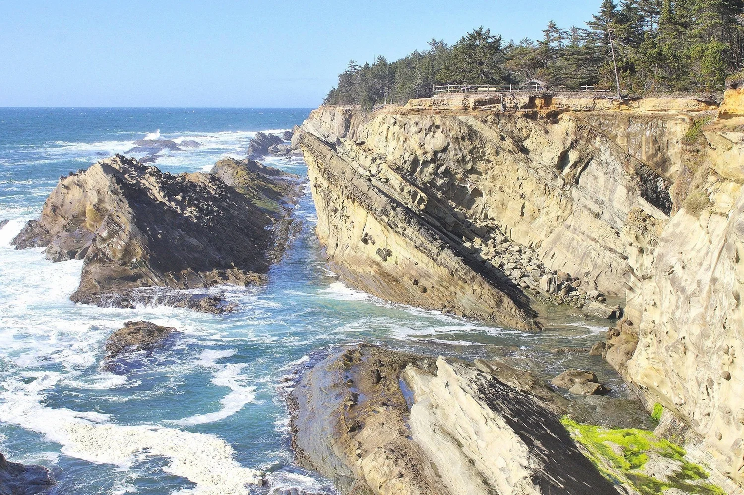 Visit 3 Stunning Parks on the Cape Arago Scenic Highway (+ bonus stops ...