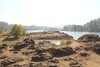 Portland's Magnificent Elk Rock Island — Pines and Vines