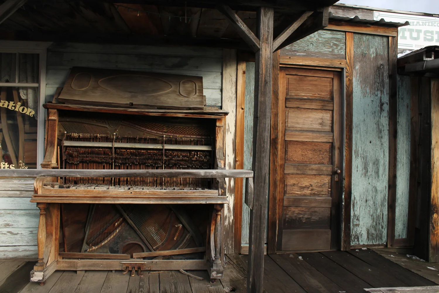 Washington’s Mysterious Mima Mounds — Pines and Vines — Pines and Vines