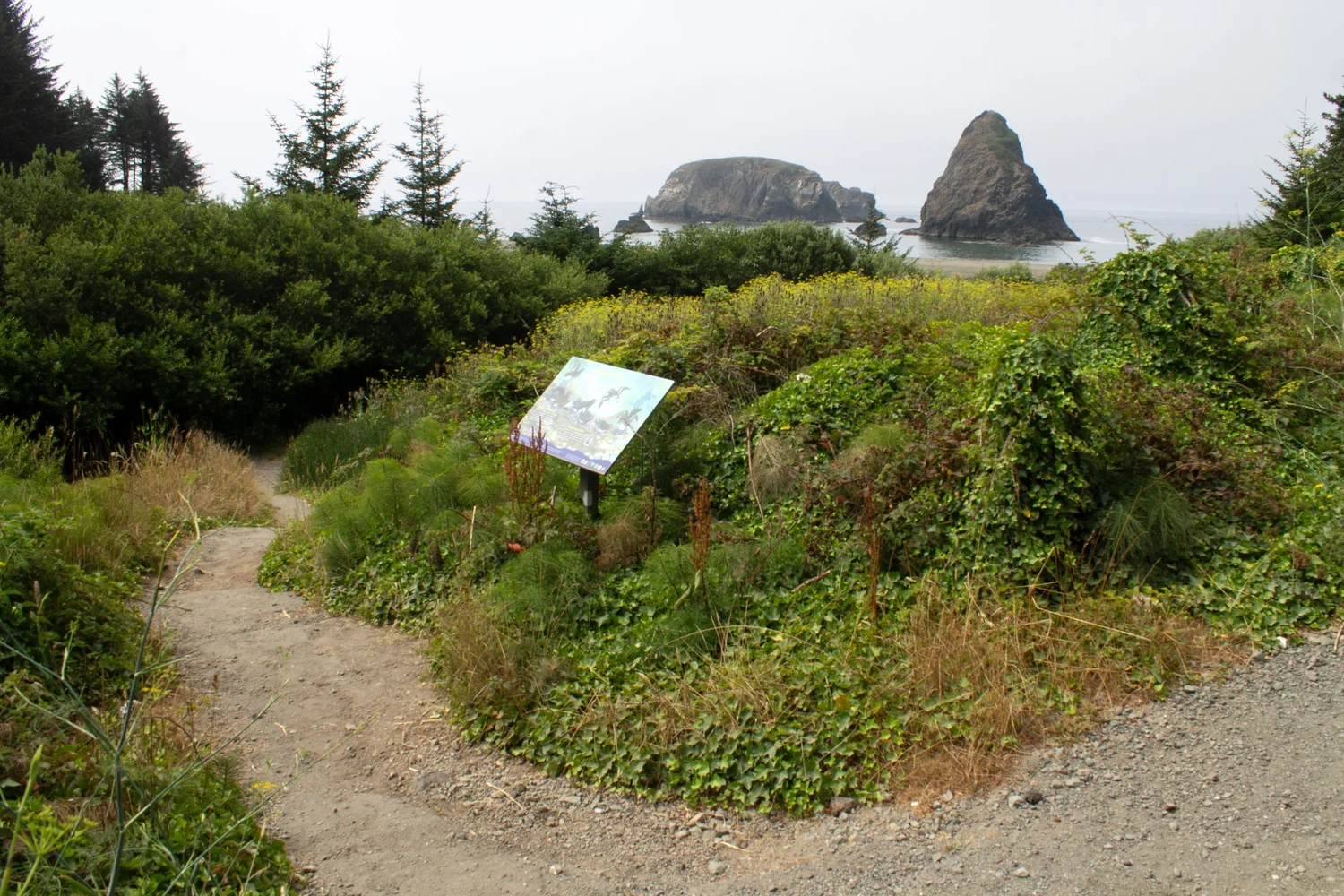 12 Best Stops in the Samuel Boardman Scenic Corridor — Pines and Vines