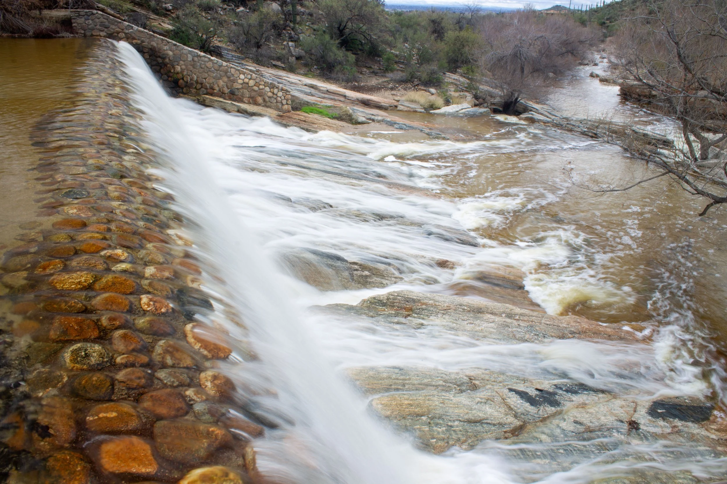 Quick Guide to Sabino Canyon Recreation Area — Pines and Vines