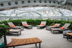 Quick Guide to the Seattle Spheres — Pines and Vines