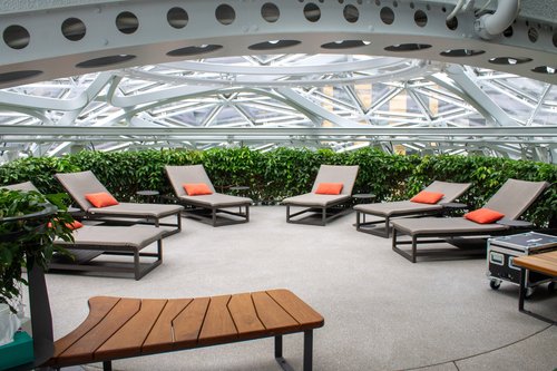 Quick Guide to the Seattle Spheres — Pines and Vines