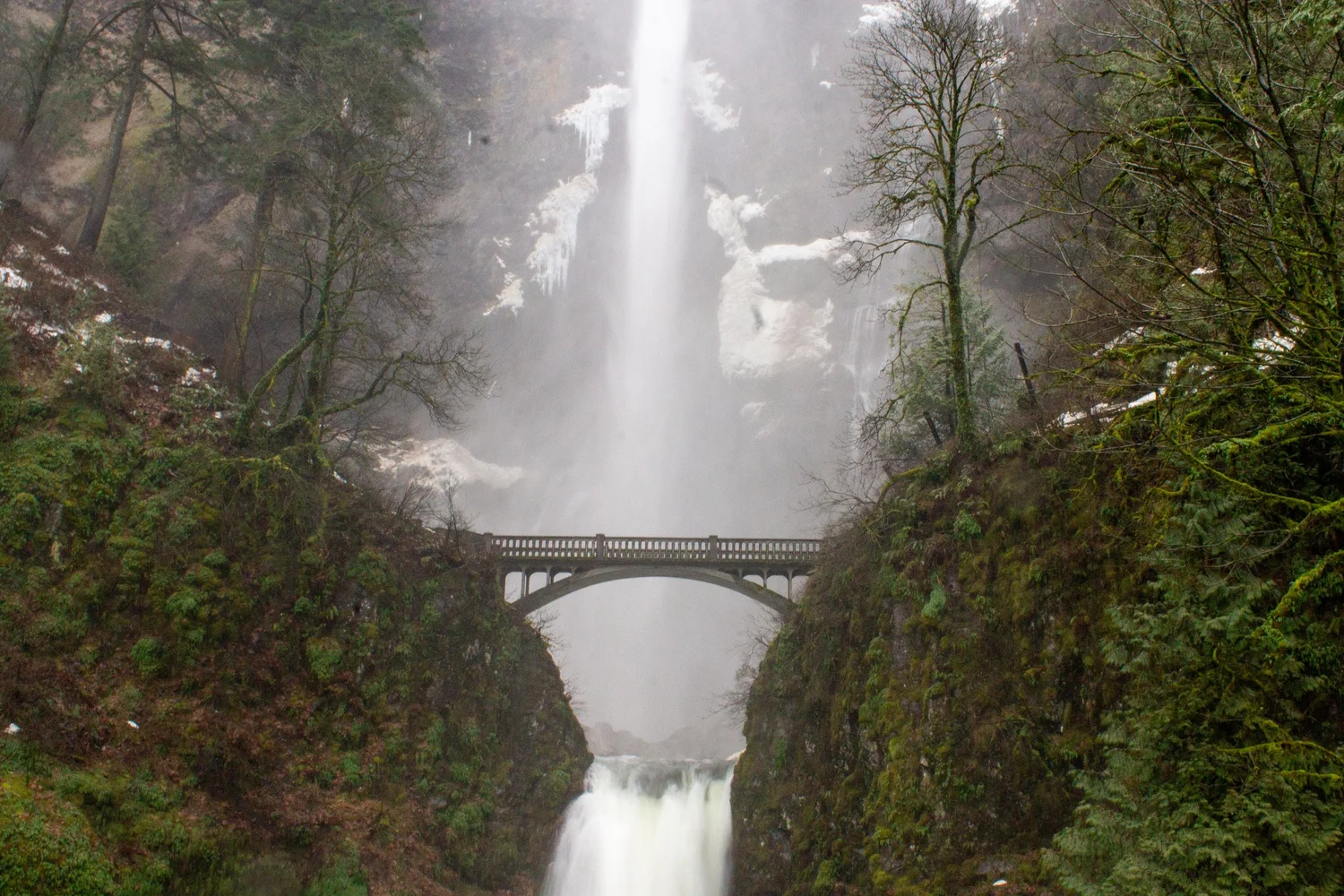 Multnomah Falls Permit System in 2026 — Pines and Vines