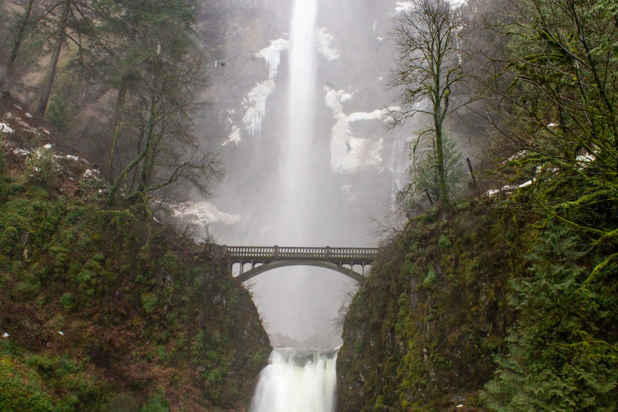 Multnomah Falls Permit System in 2026 — Pines and Vines