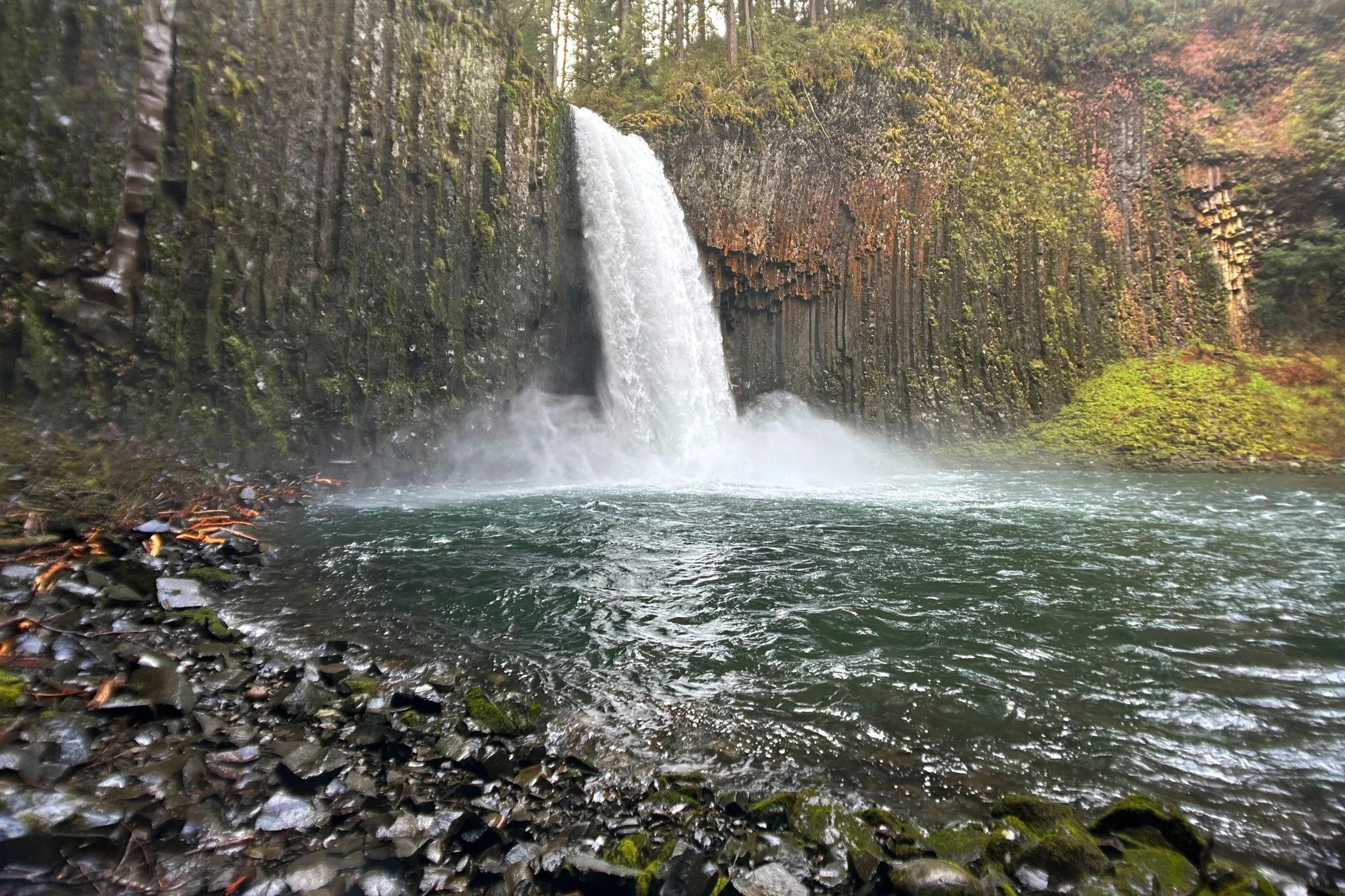 Detailed Directions to Abiqua Falls — Pines and Vines