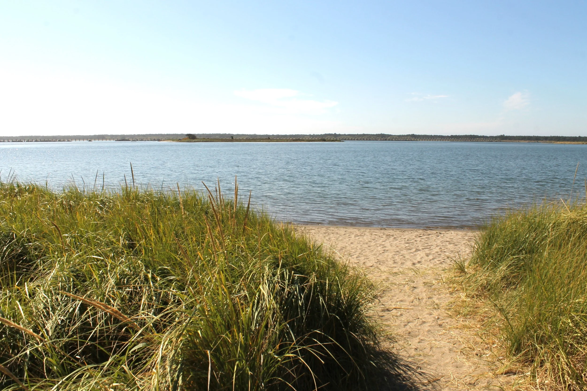 Best 6 Things to Do at Fort Stevens State Park — Pines and Vines ...