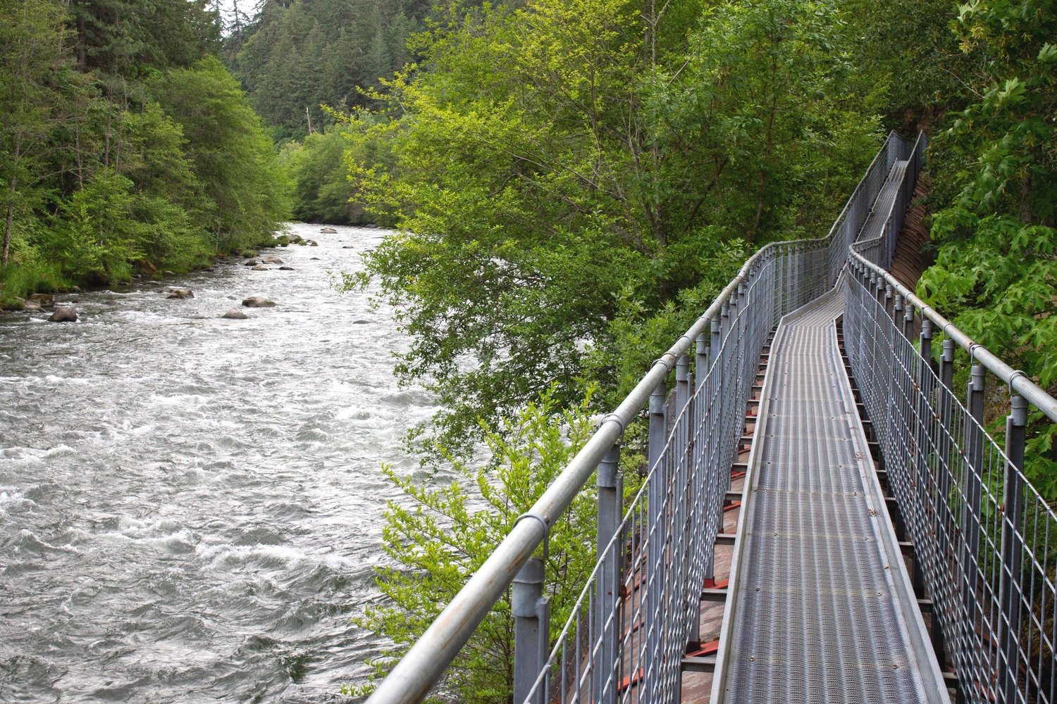 Hike the Hood River Pipeline Trail — Pines and Vines