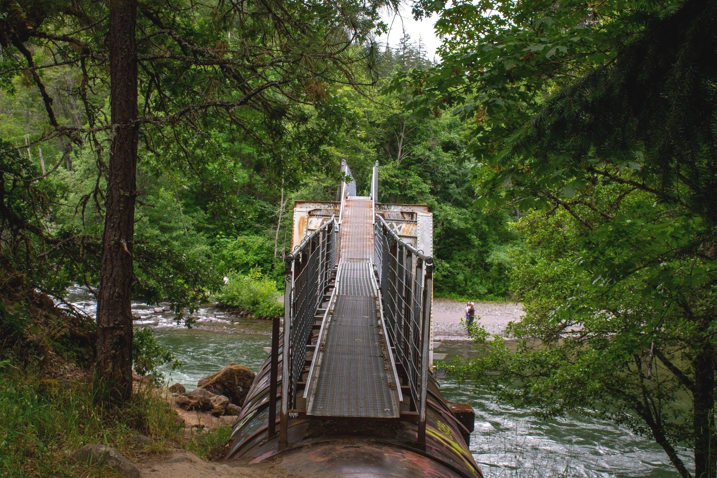 Hike the Hood River Pipeline Trail — Pines and Vines