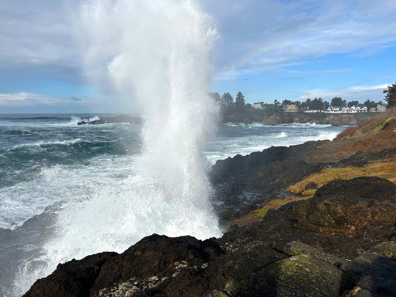 How to Watch Oregon’s King Tides in 2025-2026 — Pines and Vines