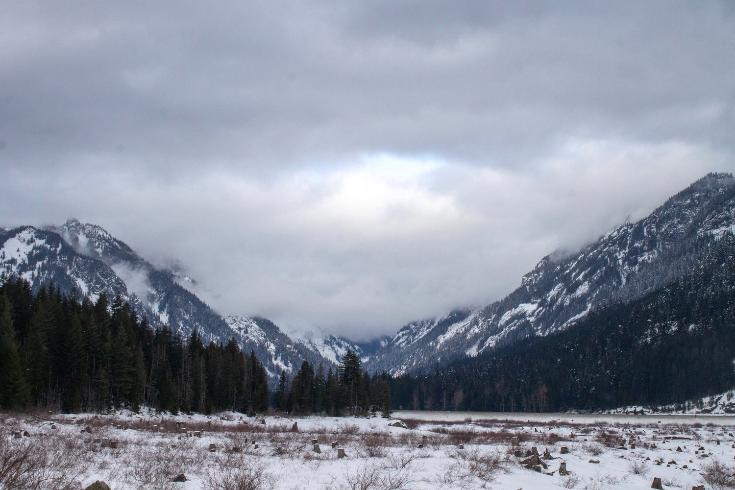 How to See Issaquah’s Giant Troll — Pines and Vines