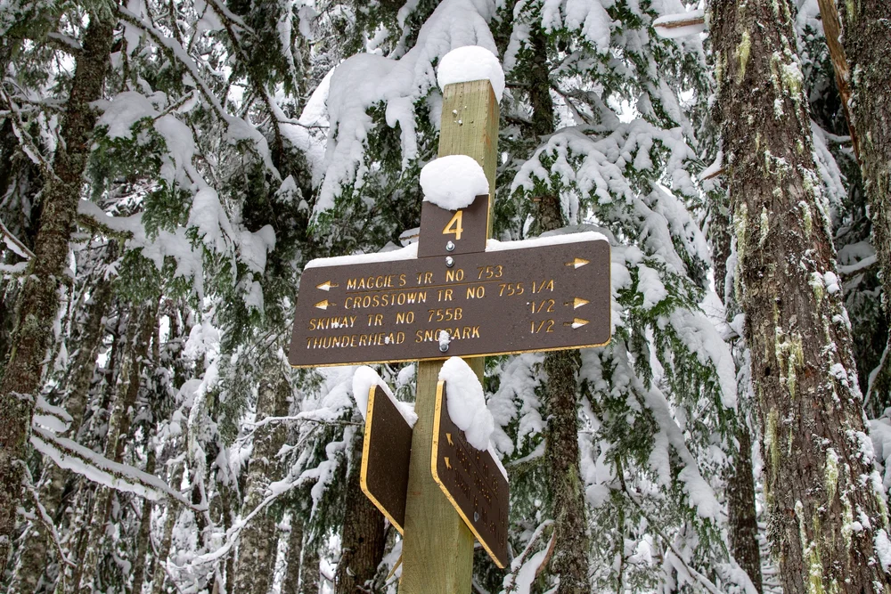 Government Camp to Enid Lake Snowshoe Trail — Pines and Vines