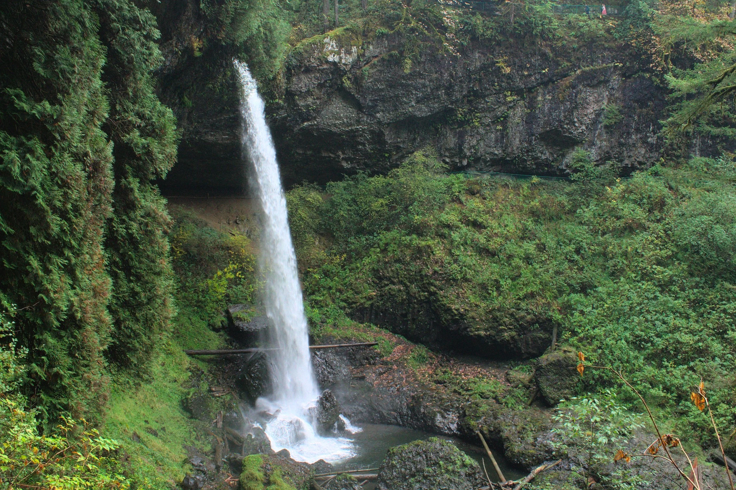 7 Incredible Waterfall Hikes at Silver Falls State Park — Pines and Vines