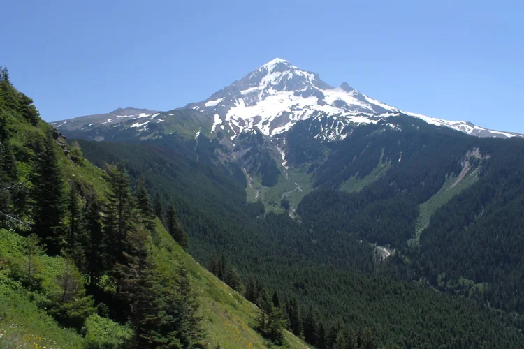 10 Best Short Hikes Near Mt Hood — Pines and Vines