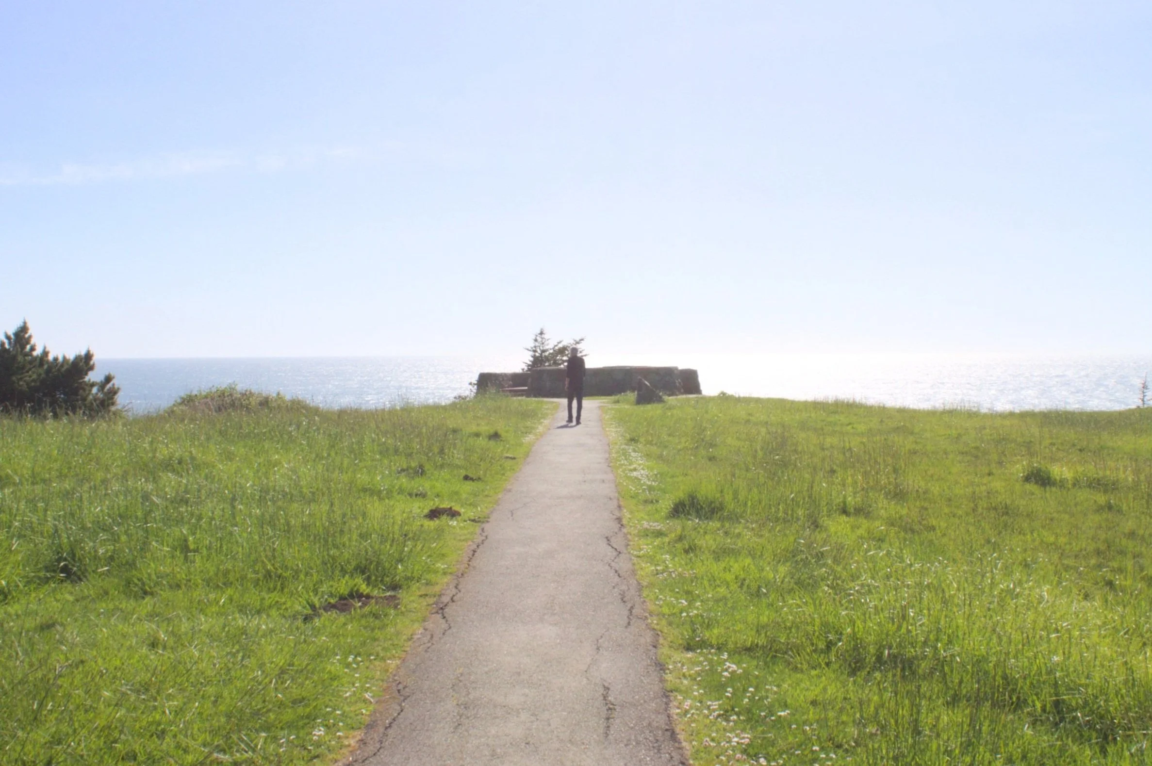 Visit 3 Stunning Parks on the Cape Arago Scenic Highway (+ bonus stops ...
