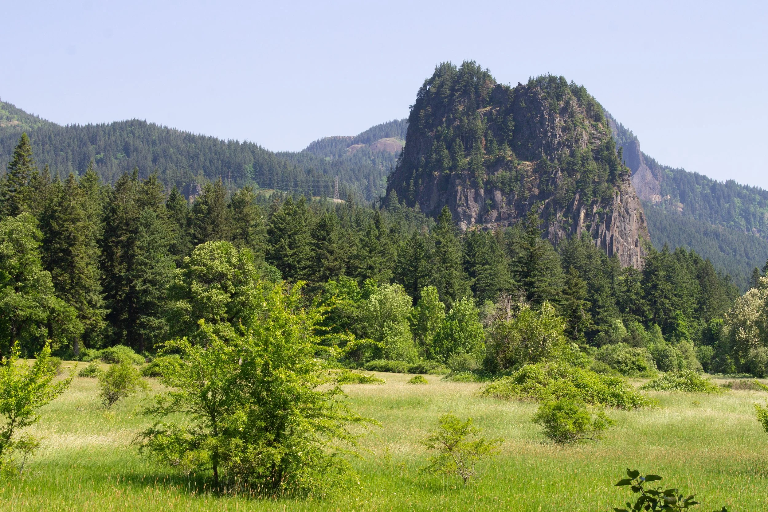 15 Hidden Gem Hikes near Portland — Pines and Vines