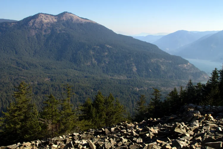 Wind Mountain Trail in the Columbia Gorge — Pines and Vines