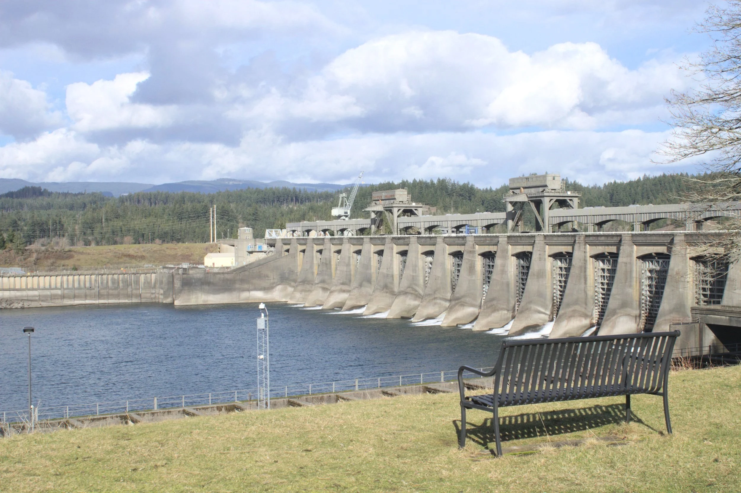 How to Watch the Salmon Migrate at Bonneville Dam — Pines and Vines
