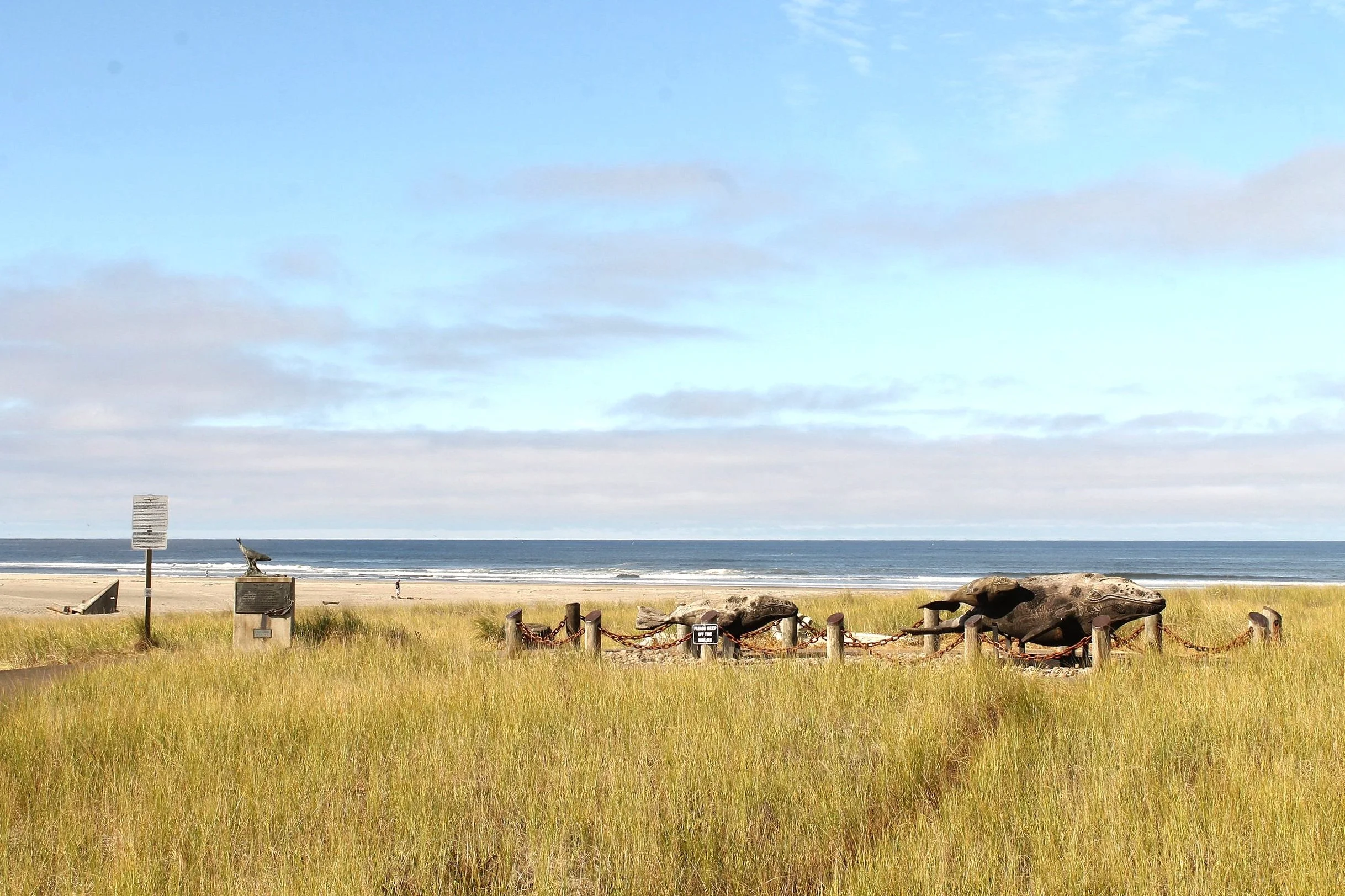 16 Fun Things to Do in Long Beach, WA — Pines and Vines — Pines and Vines