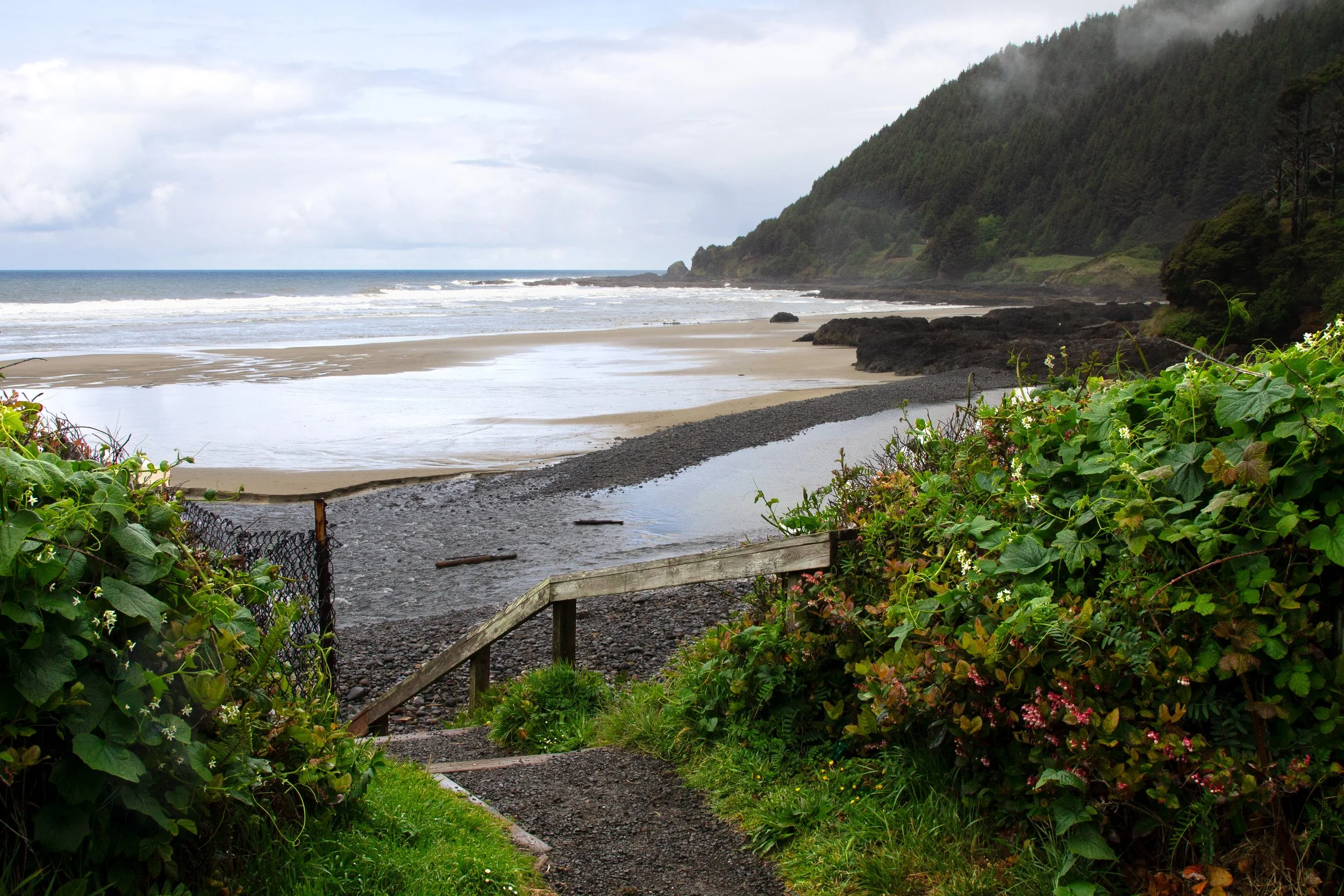 Neptune State Scenic Viewpoint — Pines and Vines