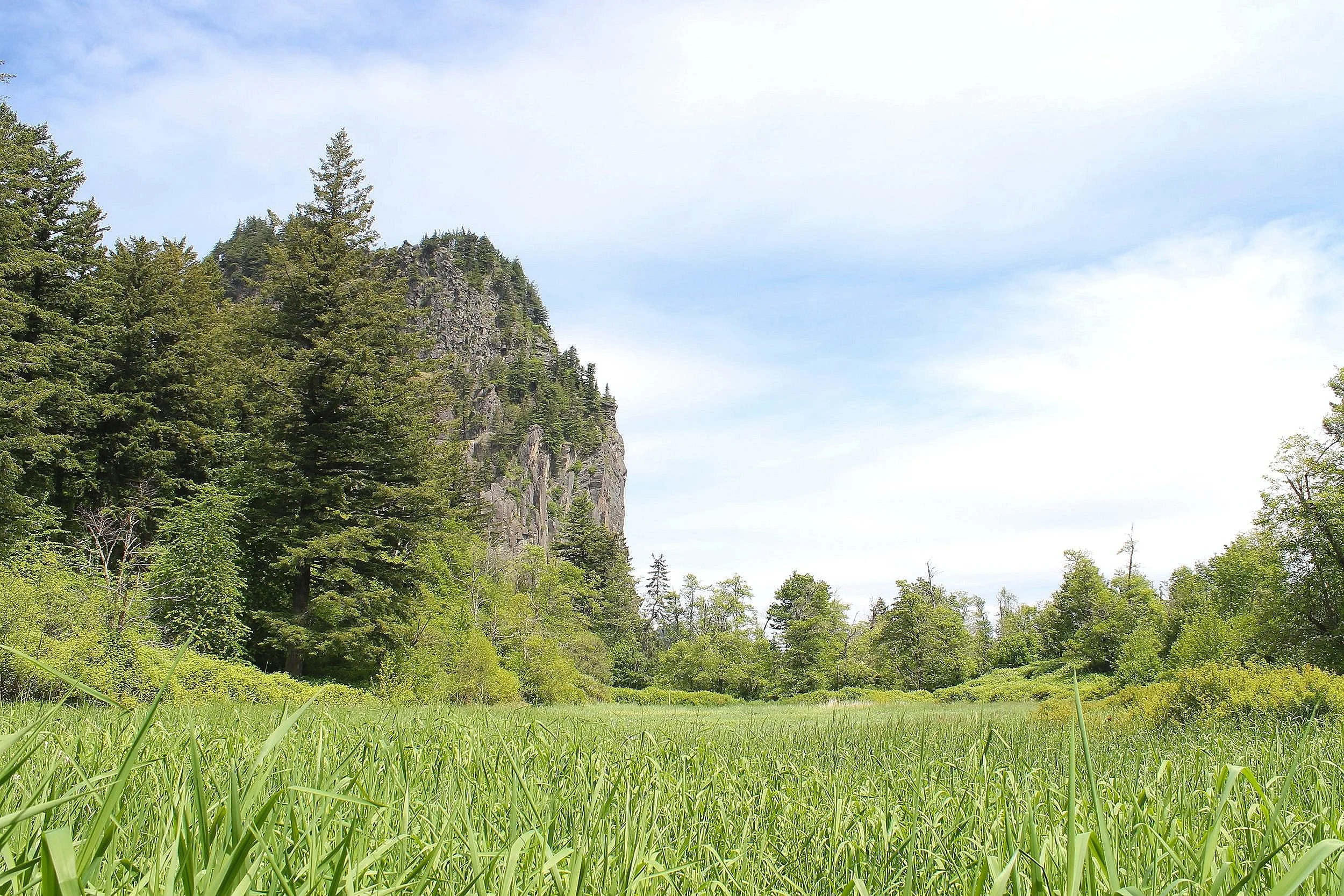 Annual Recreation Passes of Oregon and Washington — Pines and Vines