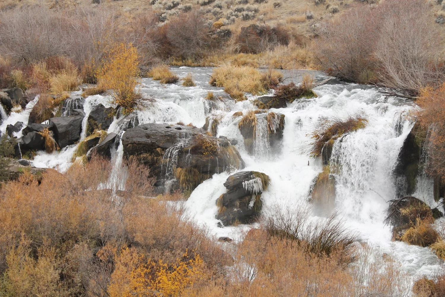 20 Incredible Short Hikes near Bend — Pines and Vines