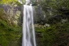 7 Incredible Waterfall Hikes at Silver Falls State Park — Pines and Vines