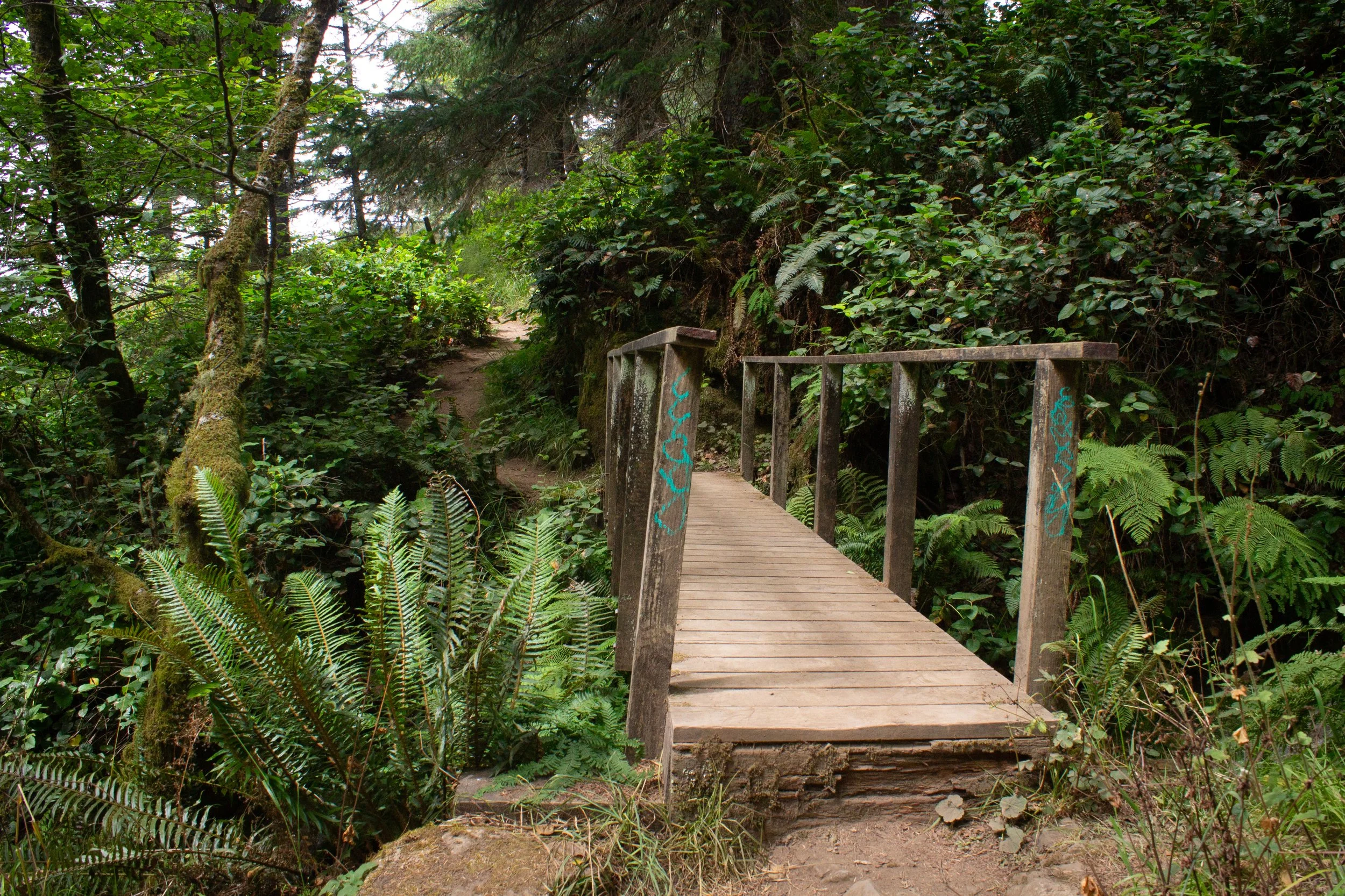 Detailed directions to Secret Beach, Oregon — Pines and Vines