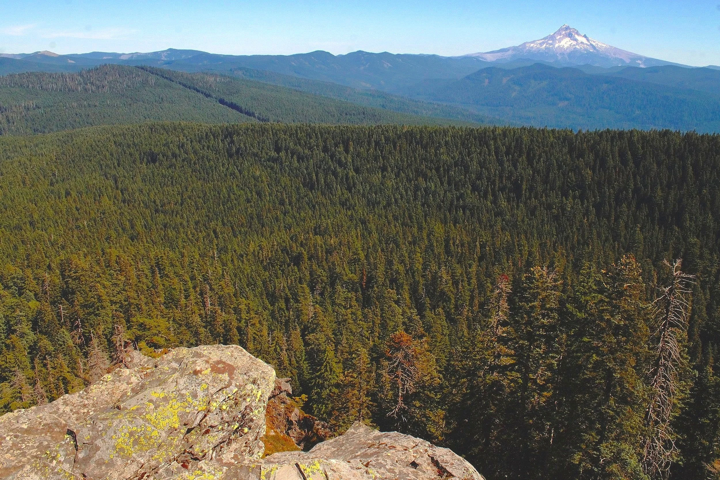 Larch Mountain’s Incredible Sherrard Point — Pines and Vines — Pines ...