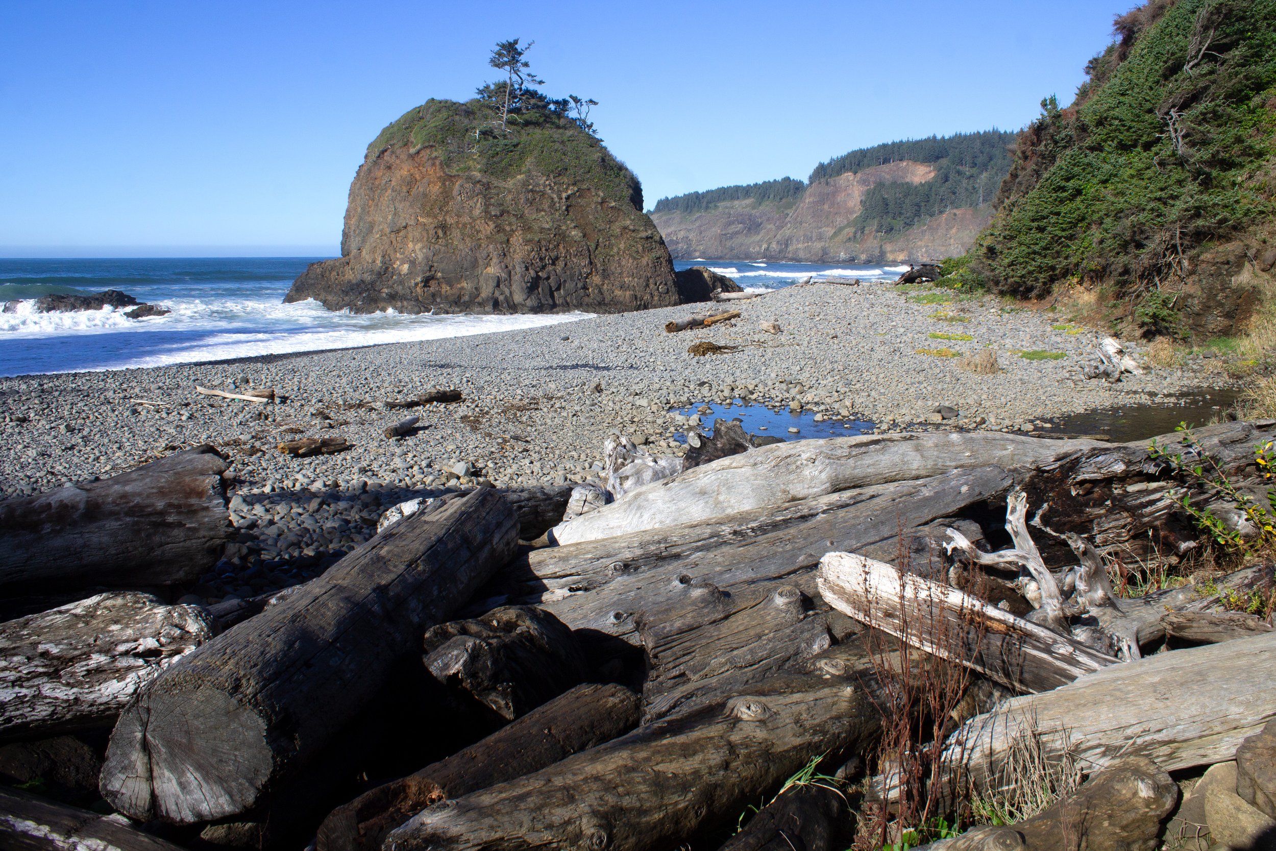 How to Find Short Beach on the Oregon Coast — Pines and Vines