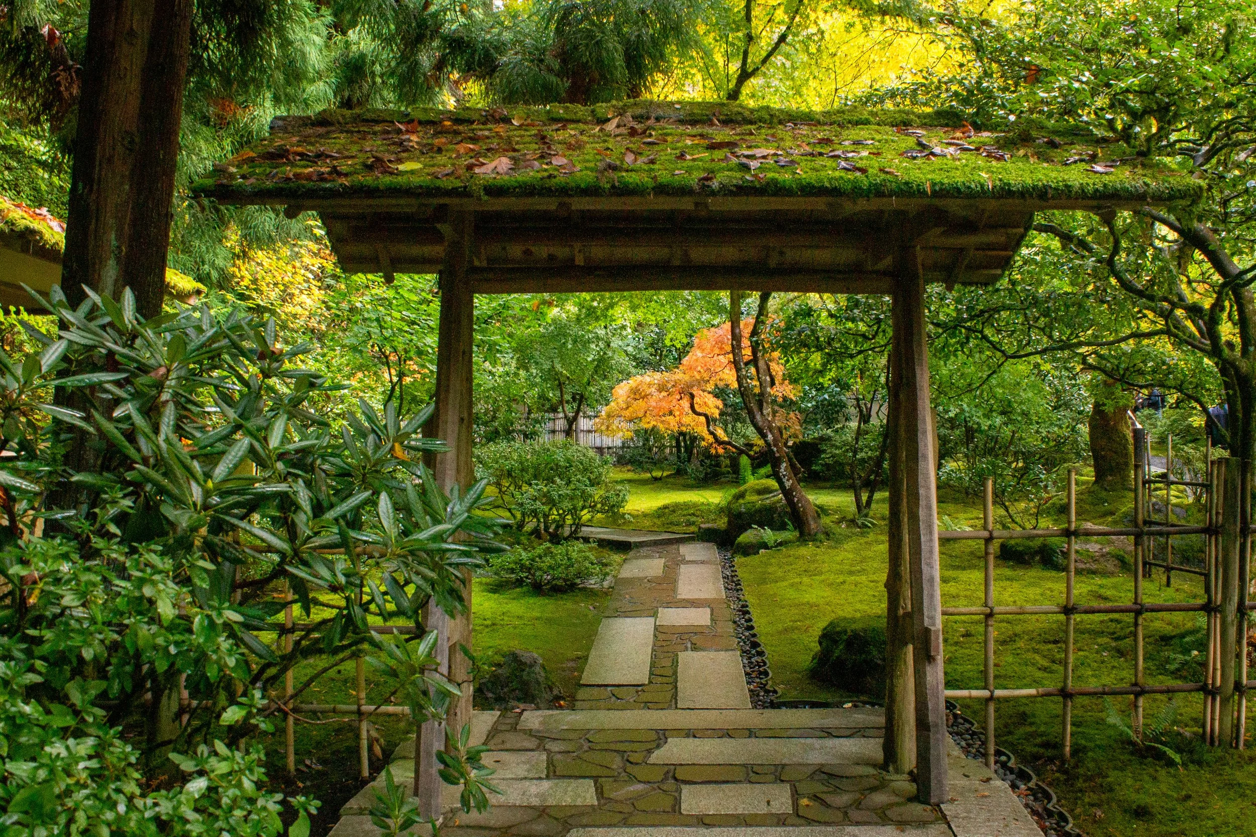 Quick Guide to the Portland Japanese Garden — Pines and Vines