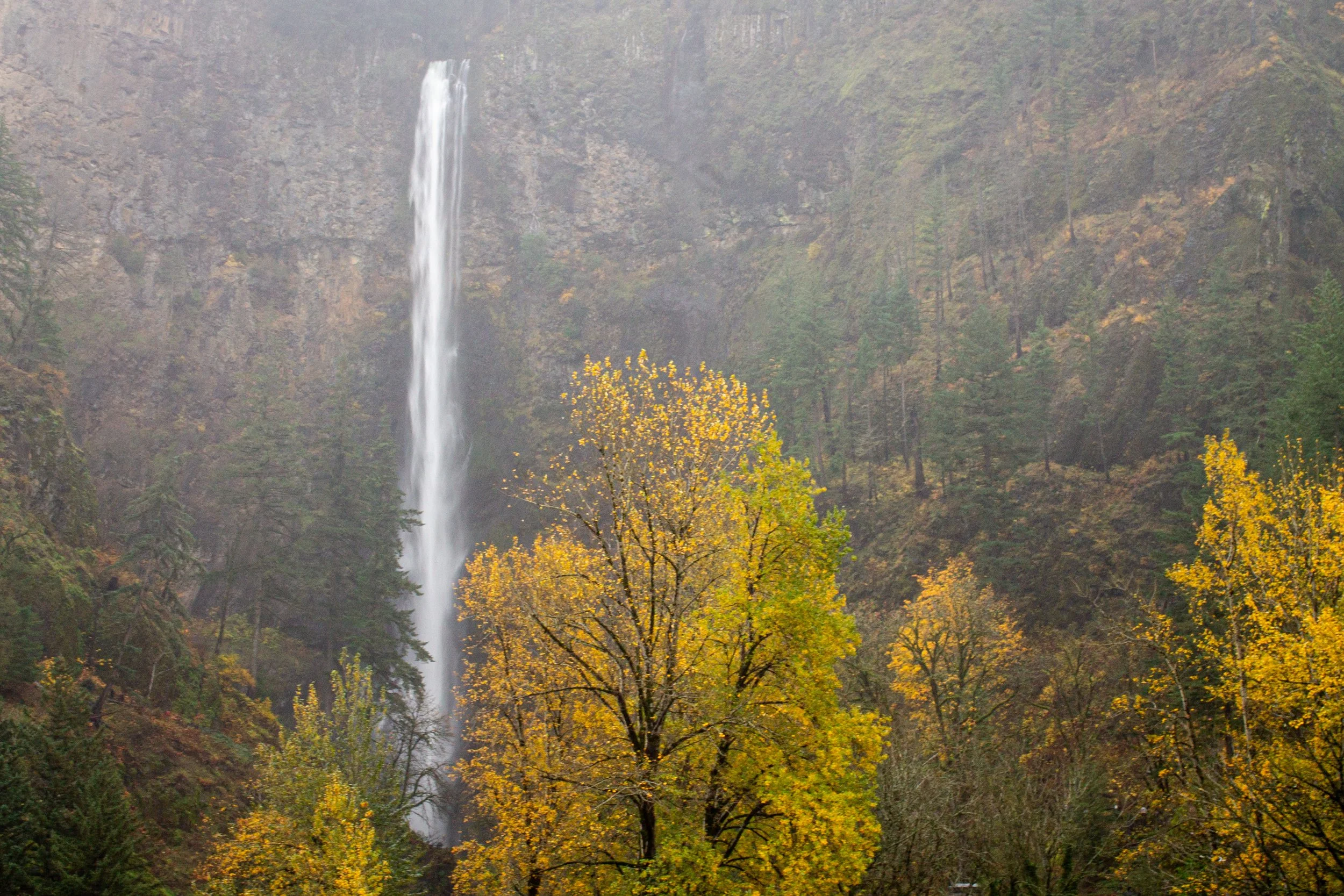15 Stunning Fall Color Hikes near Portland — Pines and Vines