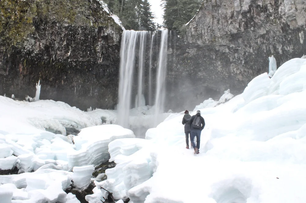 How to Hike or Snowshoe to Tamanawas Falls in Winter — Pines and Vines