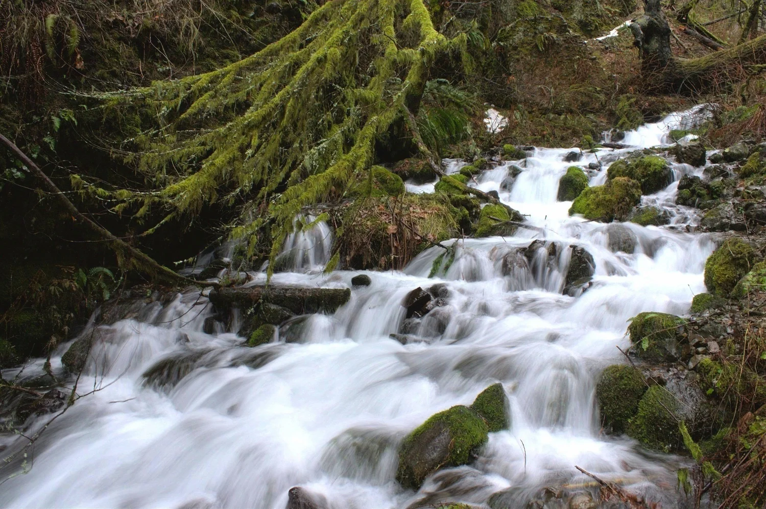 Multnomah Falls - Wahkeena Falls Loop Hike — Pines and Vines — Pines ...