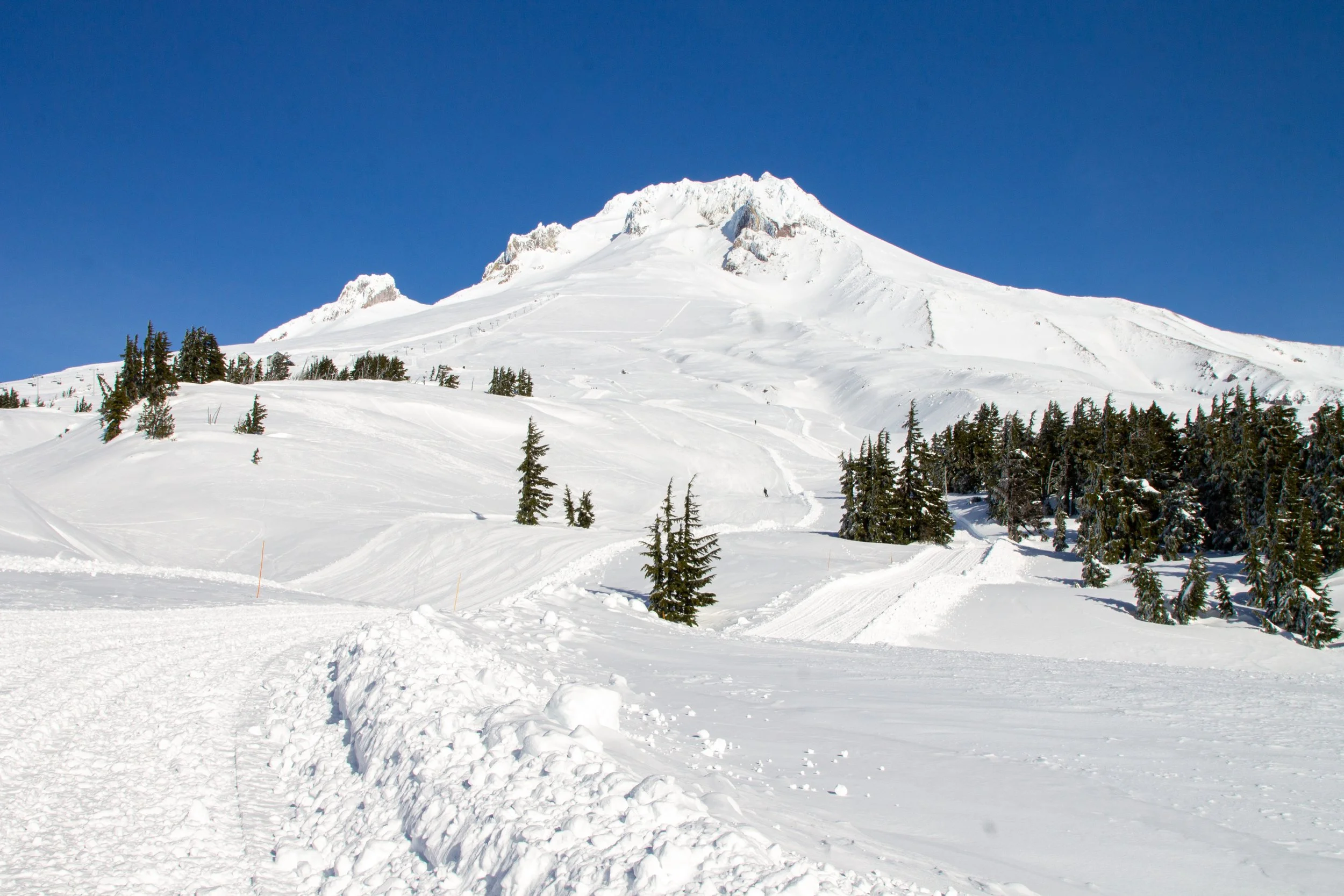 How to Snowshoe at Timberline Lodge — Pines and Vines