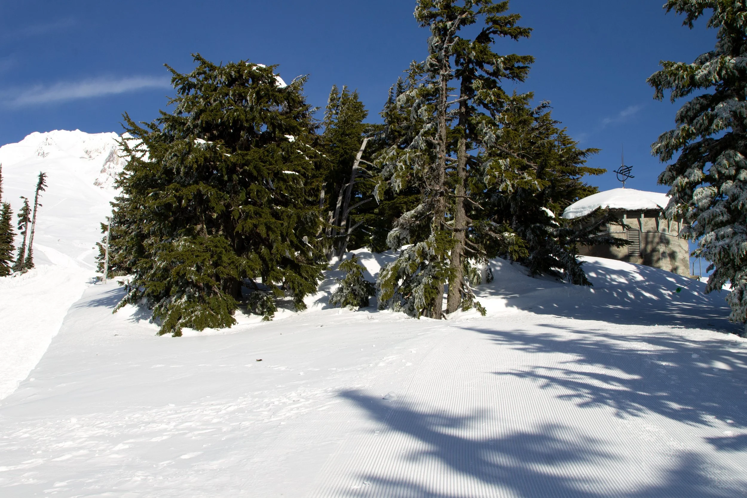 How to Snowshoe at Timberline Lodge — Pines and Vines