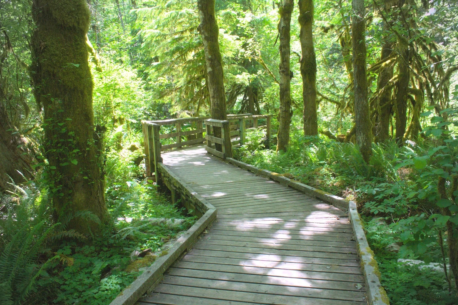 7 Fun Things to Do at Wildwood Recreation Site — Pines and Vines