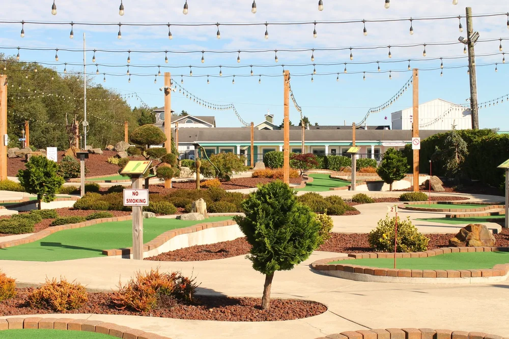 16 Fun Things to Do in Long Beach, WA — Pines and Vines — Pines and Vines