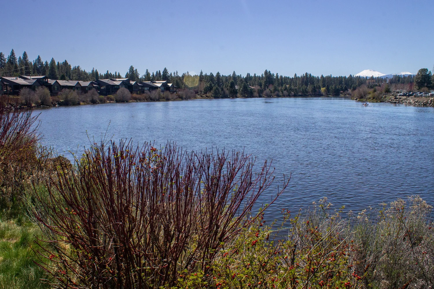 20 Fun Things to Do in Bend, Oregon — Pines and Vines