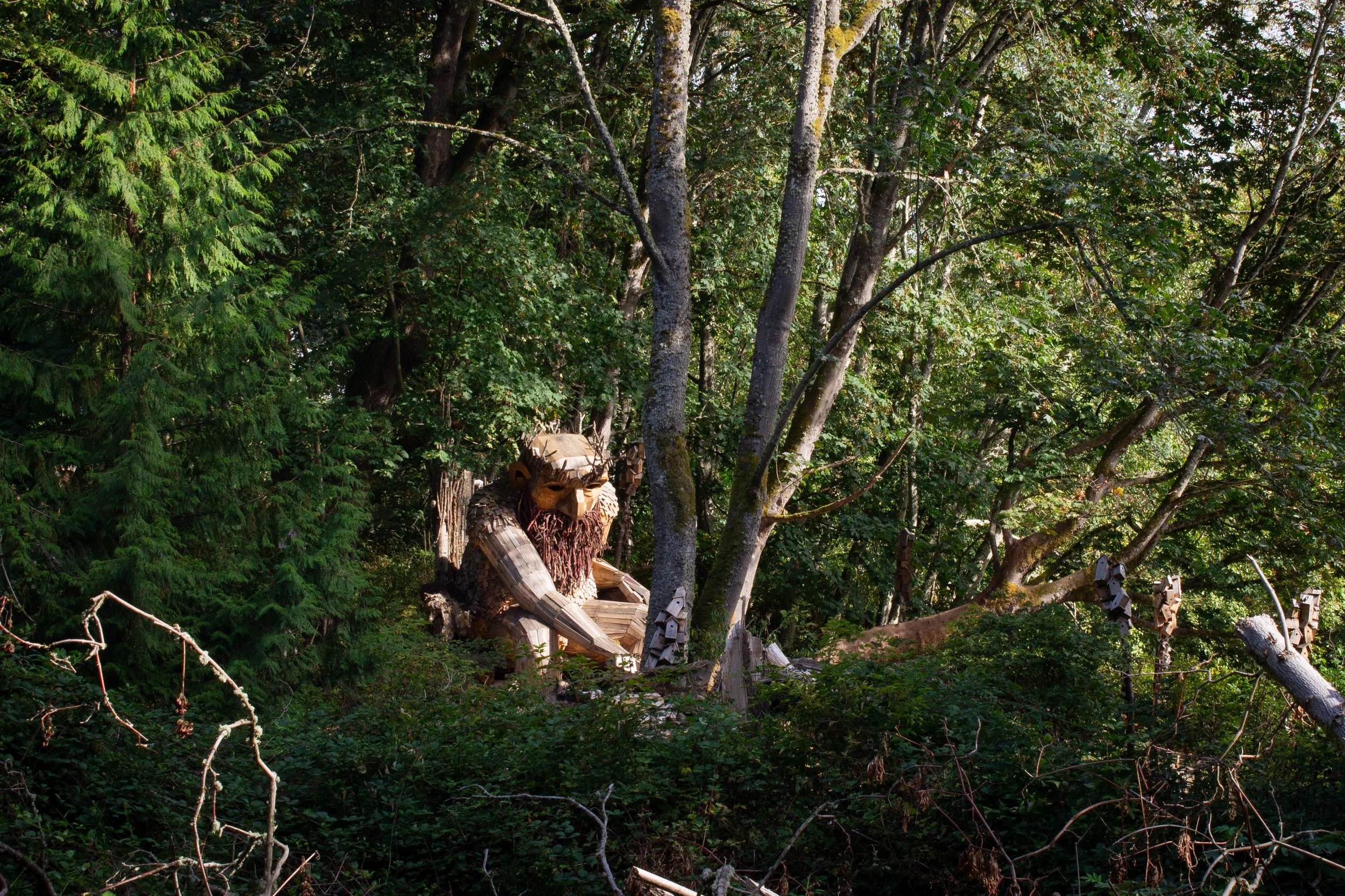 How to See Vashon Island’s Giant Troll — Pines and Vines