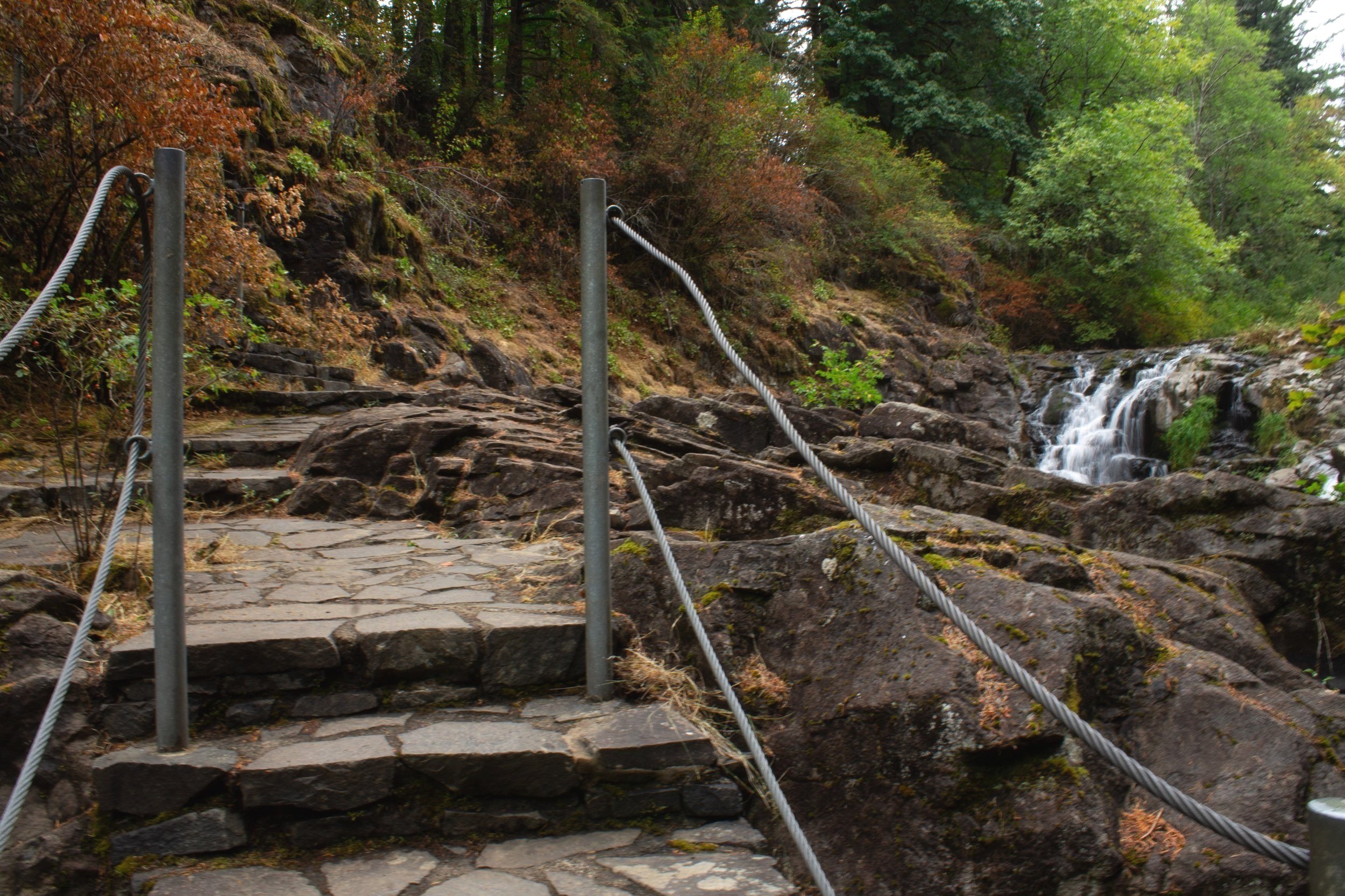 Quick Guide to Moulton Falls Regional Park — Pines and Vines