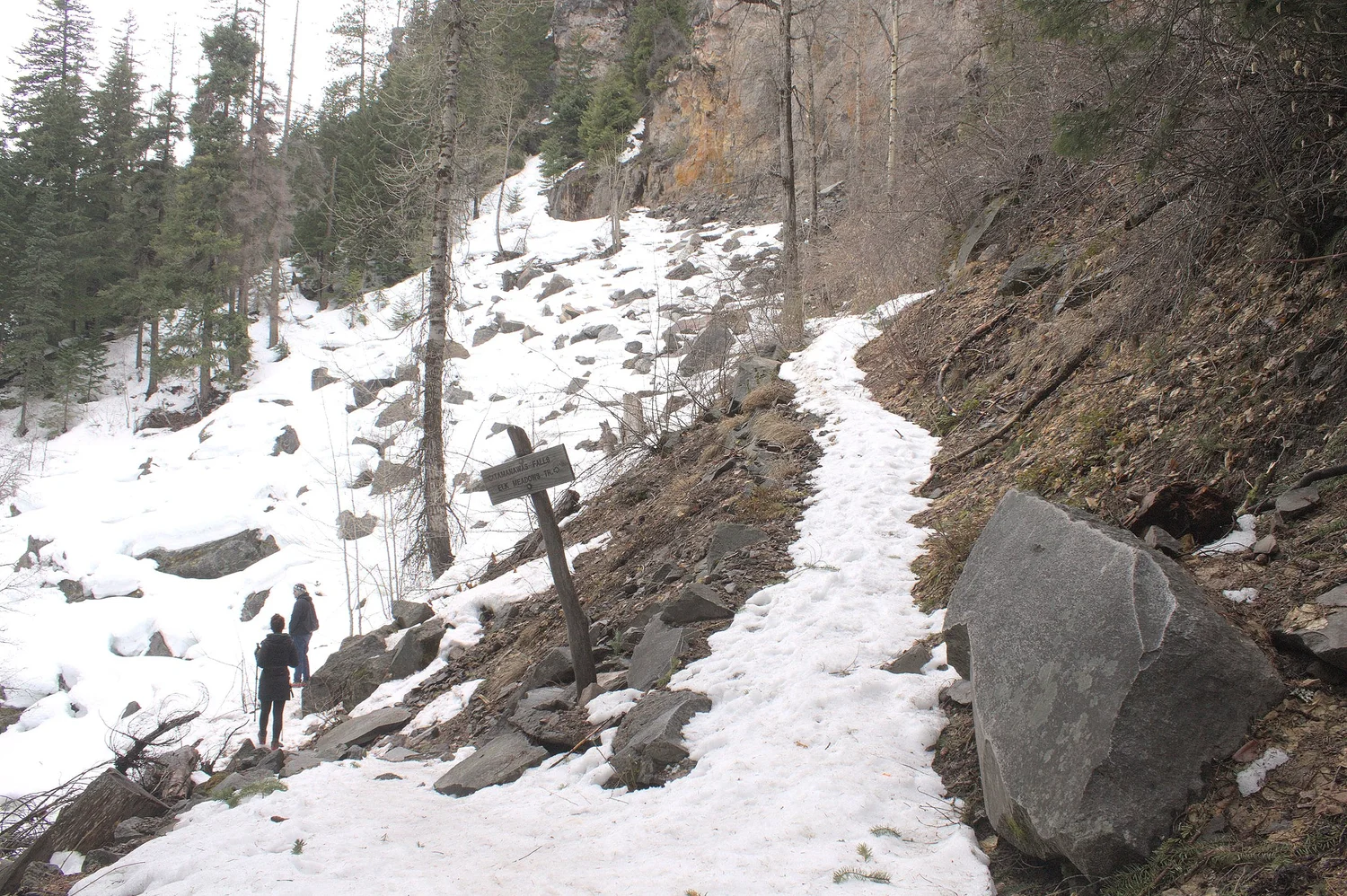 How to Hike or Snowshoe to Tamanawas Falls in Winter — Pines and Vines