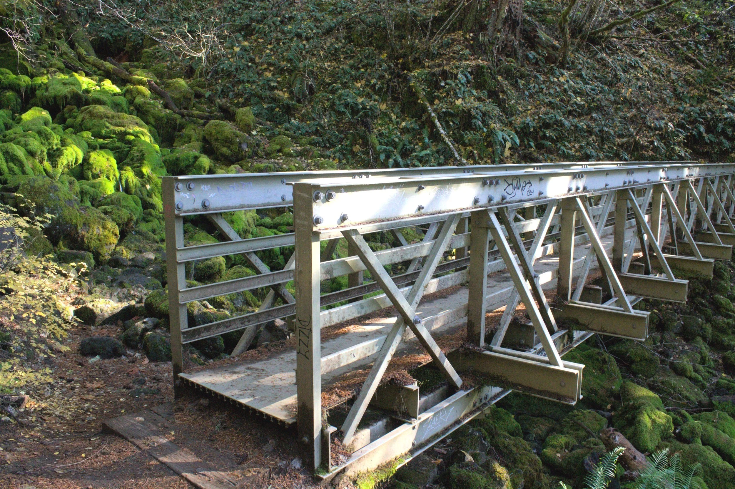 Hike to Falls Creek Falls — Pines and Vines